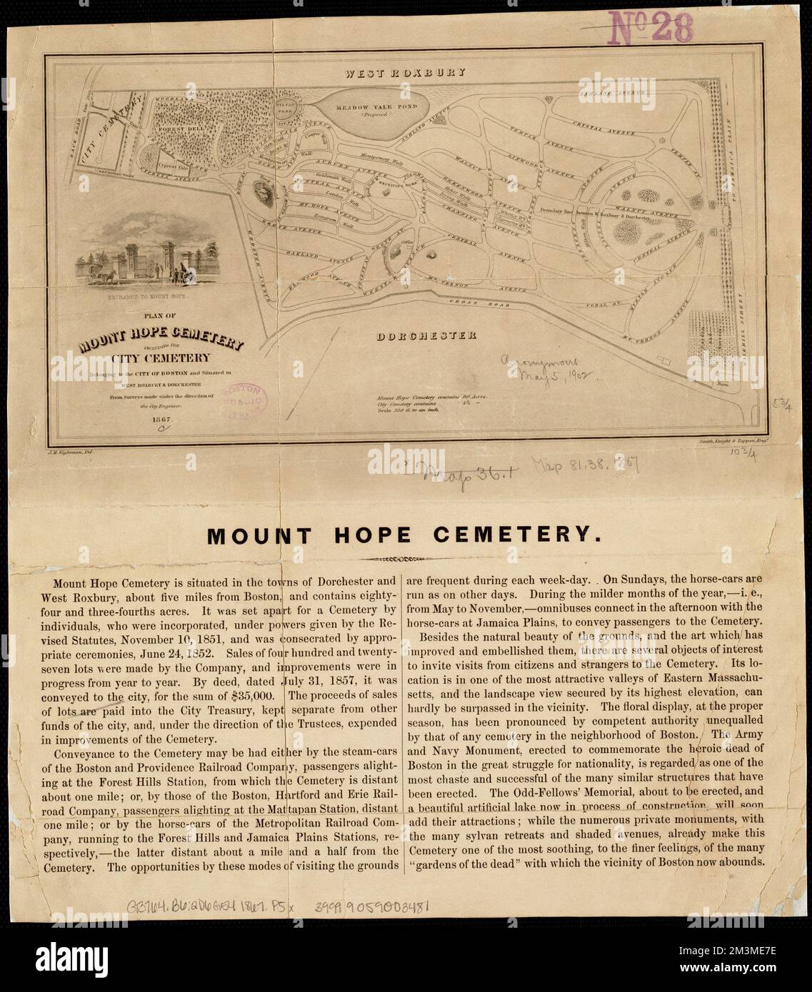 Plan of Mount Hope Cemetery : including the City Cemetery belonging to ...