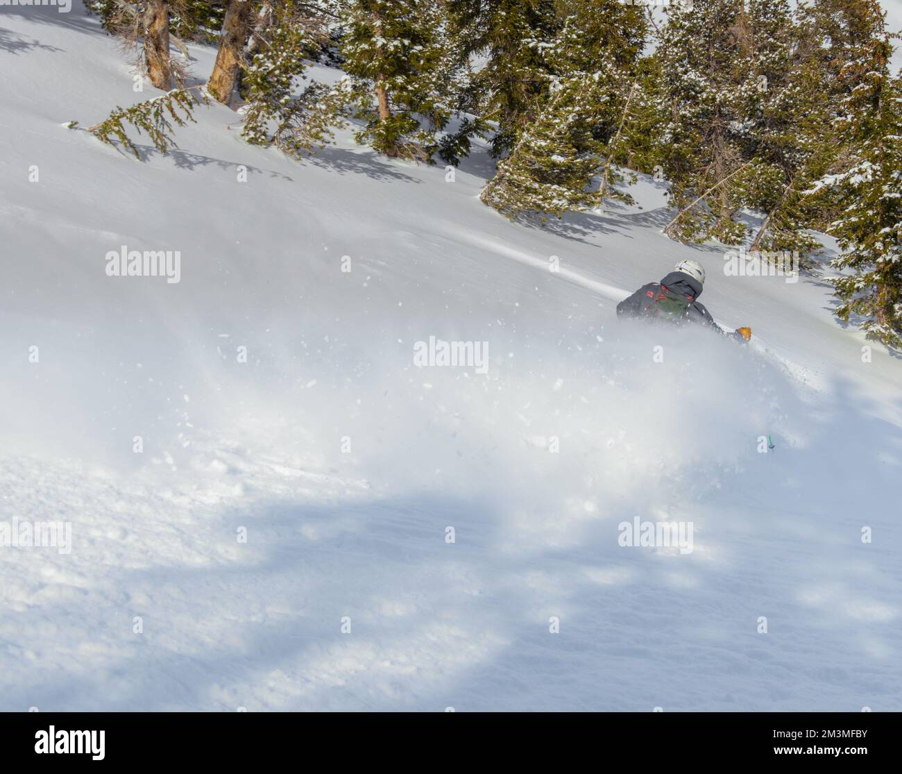 A skier on fresh snow in the mountainous landscape in California Stock ...