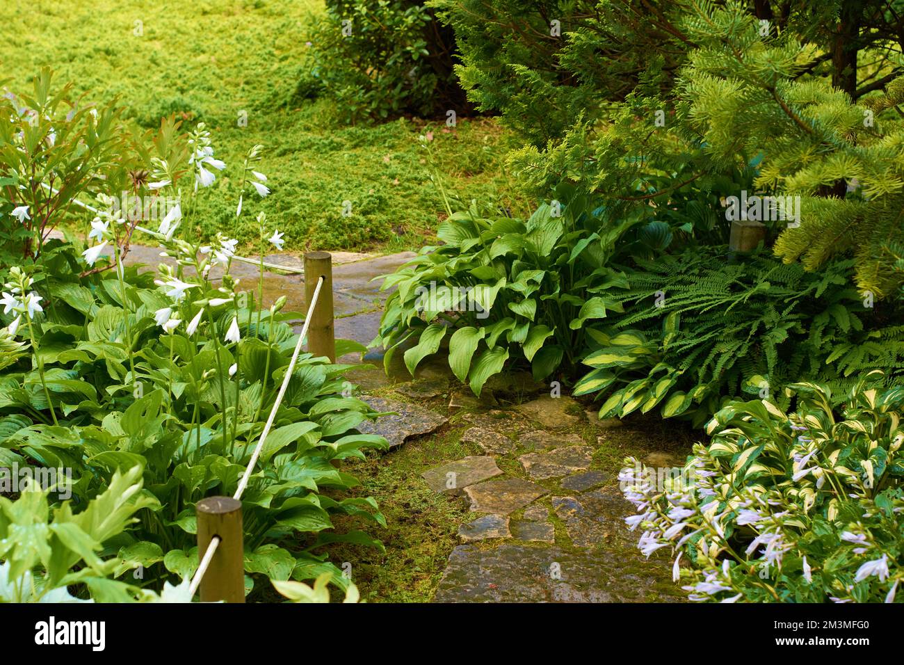 Shrubs, herbs, flowers and park path at the public park. Green city ...