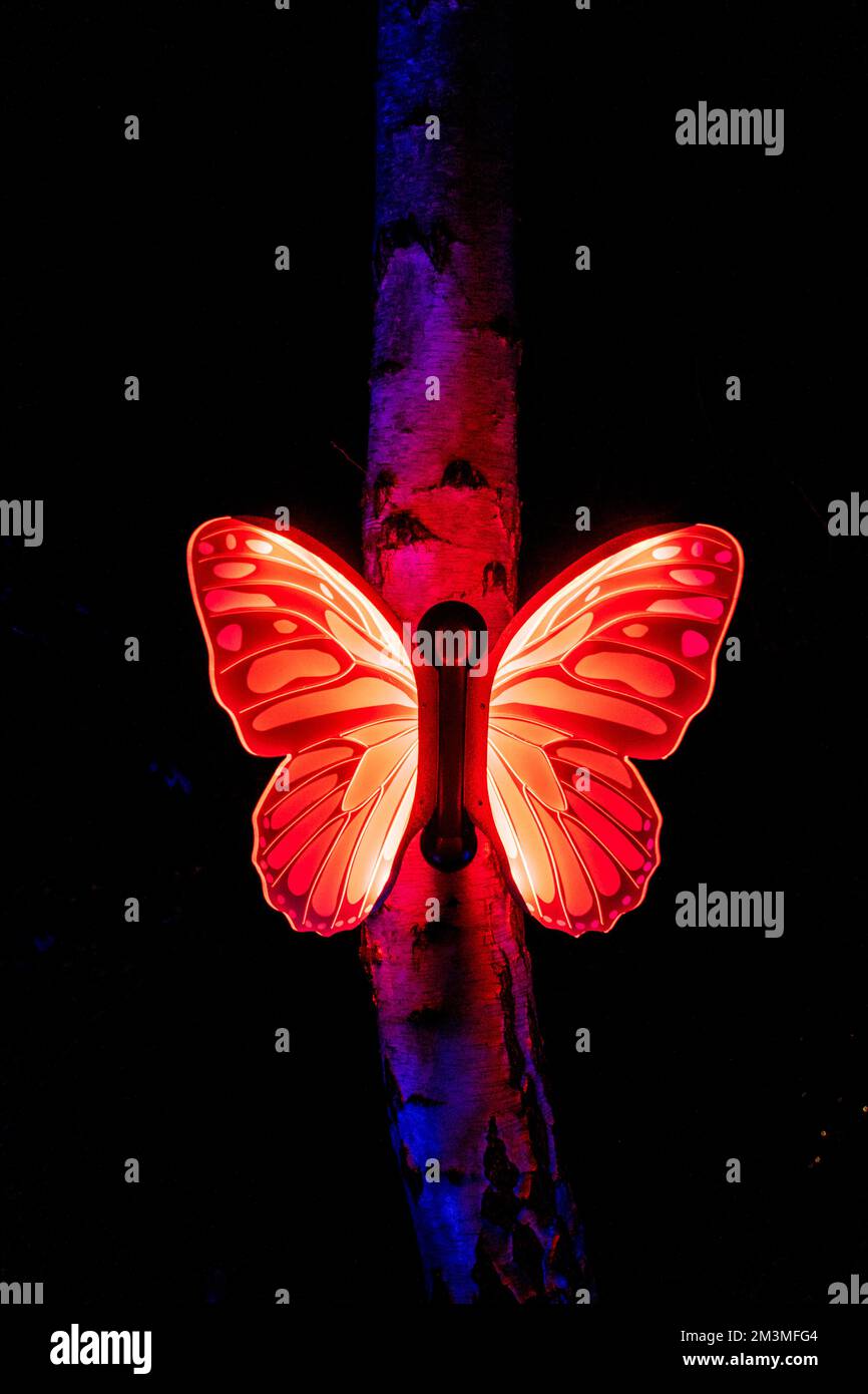 Illuminated flouresent butterflies on a tree Stock Photo - Alamy