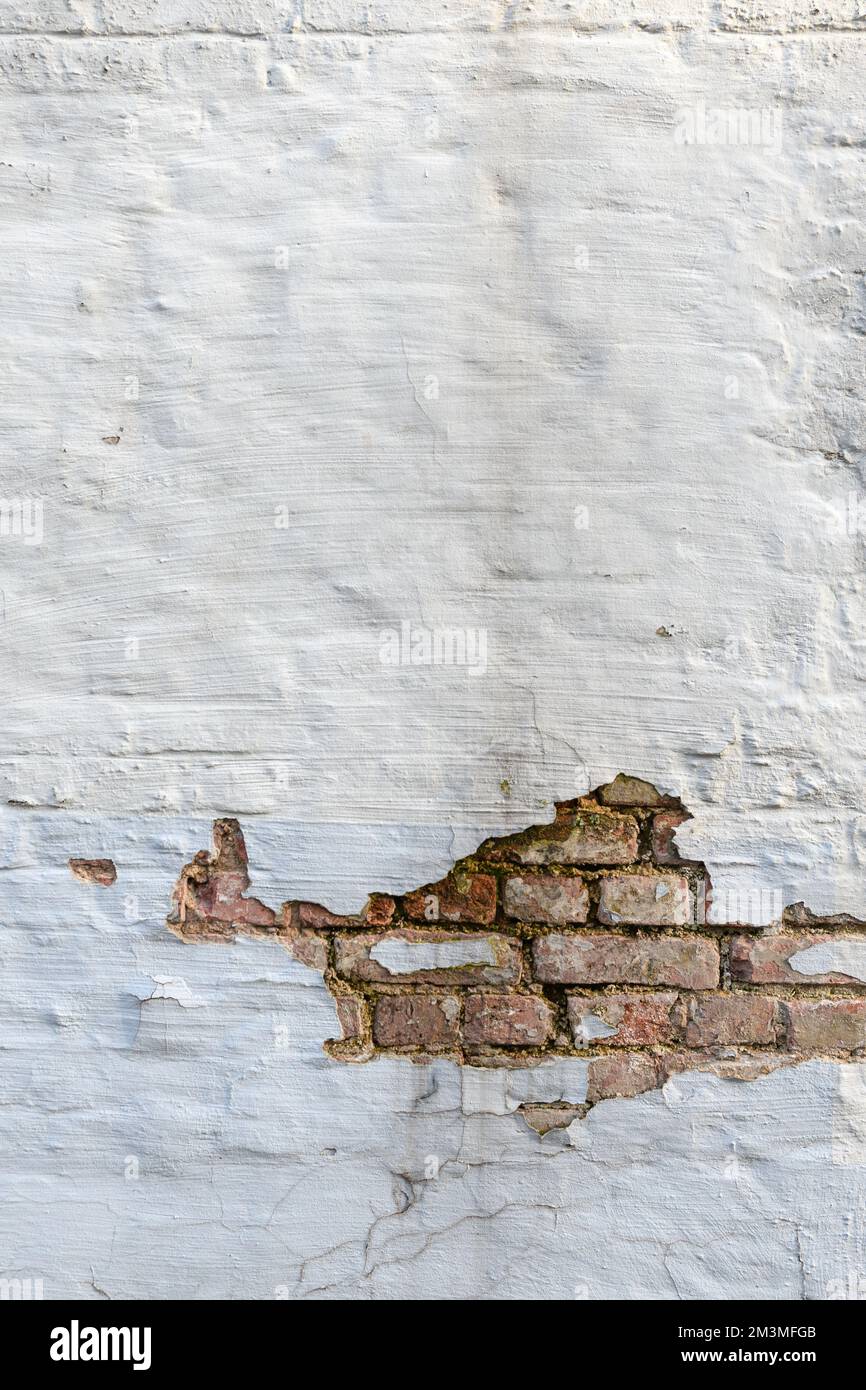 Wall the style vintage white background of old cement brick texture has ...