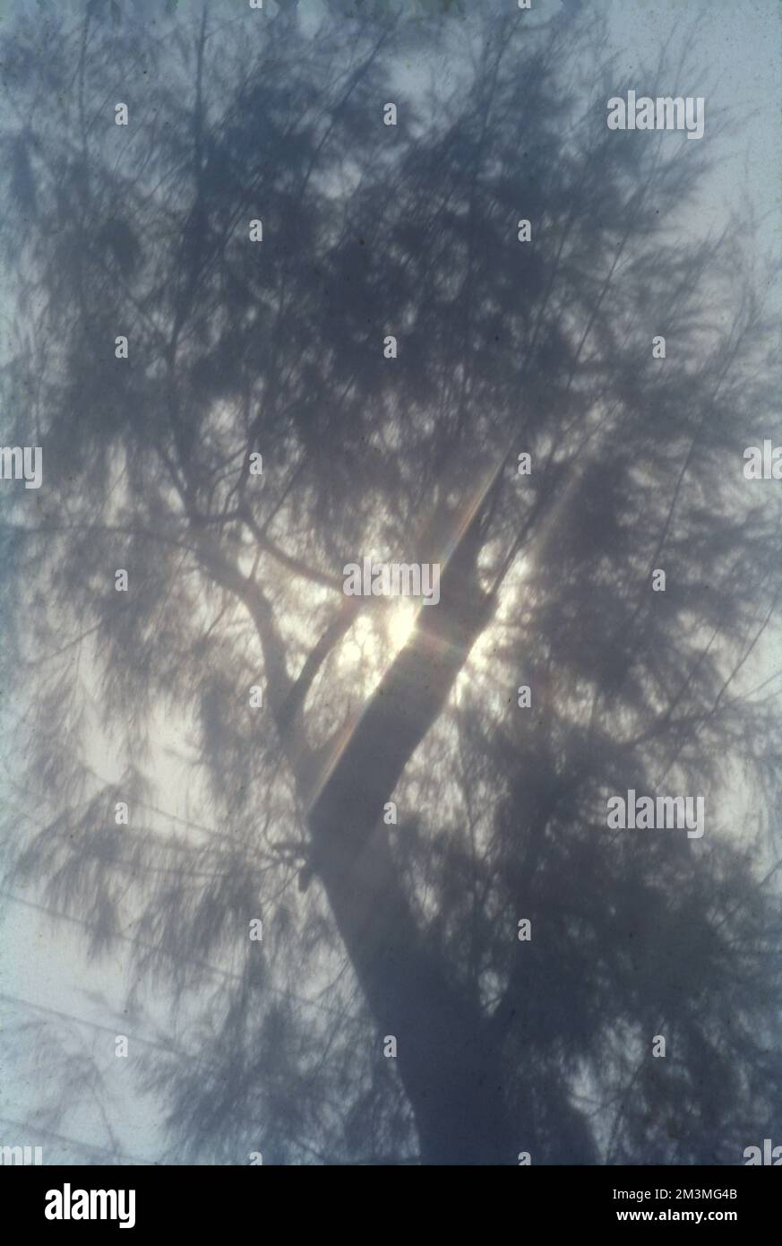 “the scattered light that filters through when sunlight shines through ...