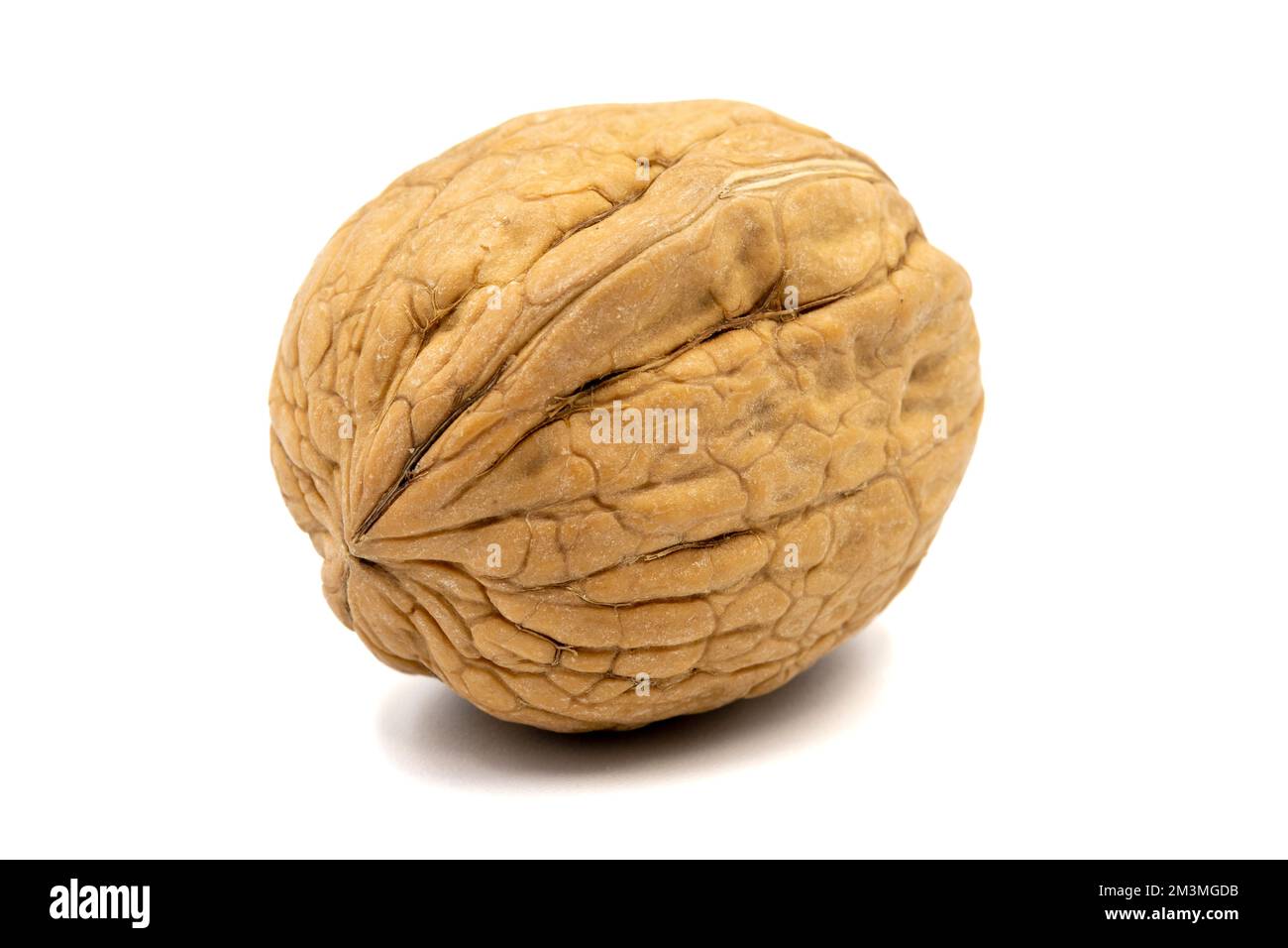 Walnuts in shell isolated on a white background. Clipping Path. Full ...