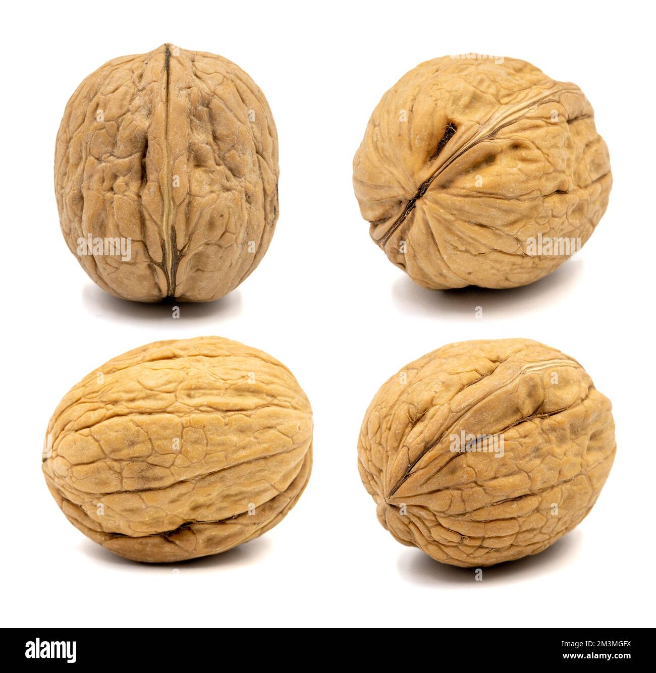Set of walnut hi-res stock photography and images - Alamy