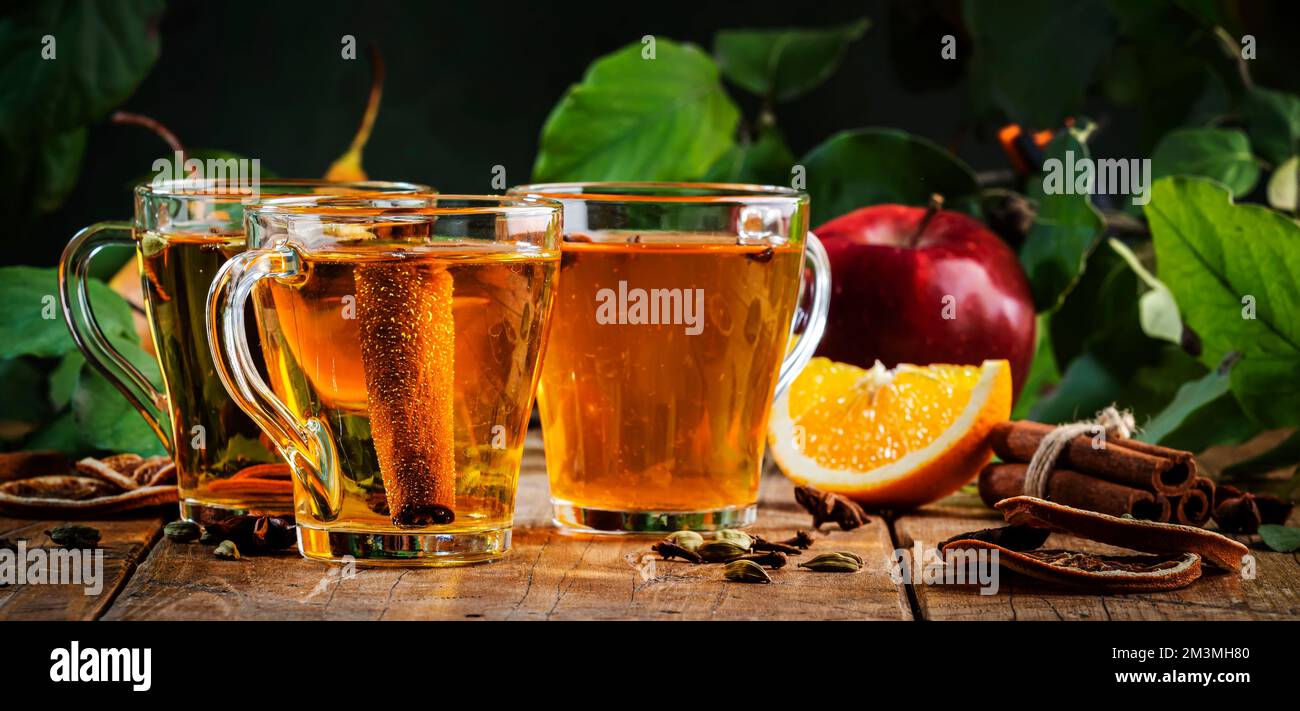 Hot Mulled Cider glass cups: apple, pear and orange drinks with spices ...