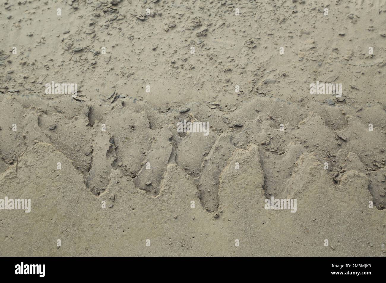 Sandy riverbed erosion patterns hi-res stock photography and images - Alamy