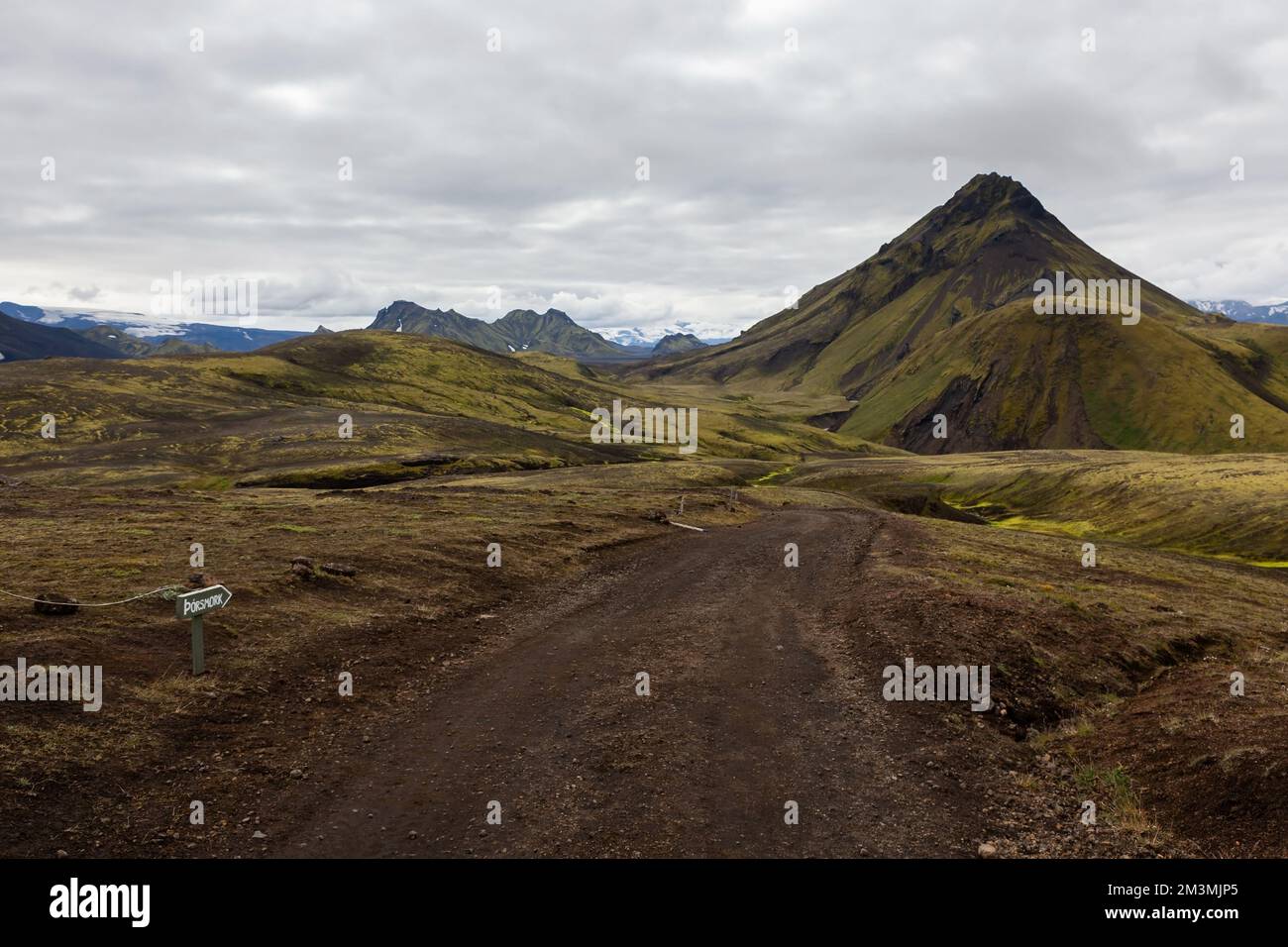 Landscape in Iceland. Green mossy mountains and lava fields in ...