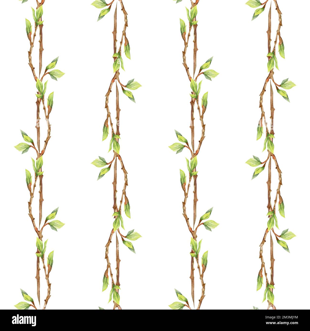 Watercolor hand drawn seamless pattern of spring branches and twigs with fresh leaves. Isolated ...