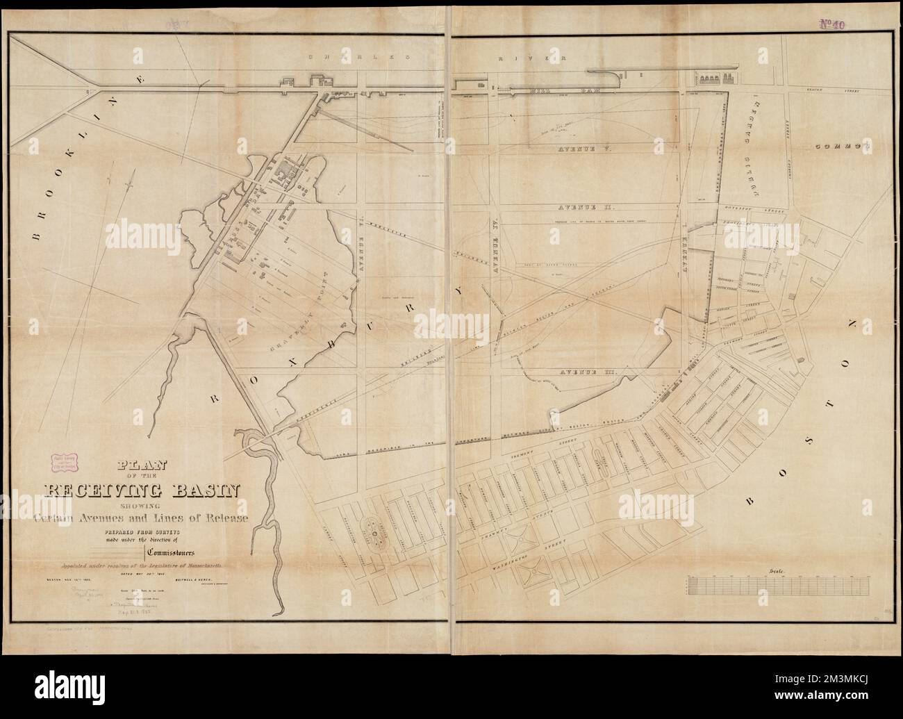 Plan of the receiving basin showing certain avenues and lines of ...