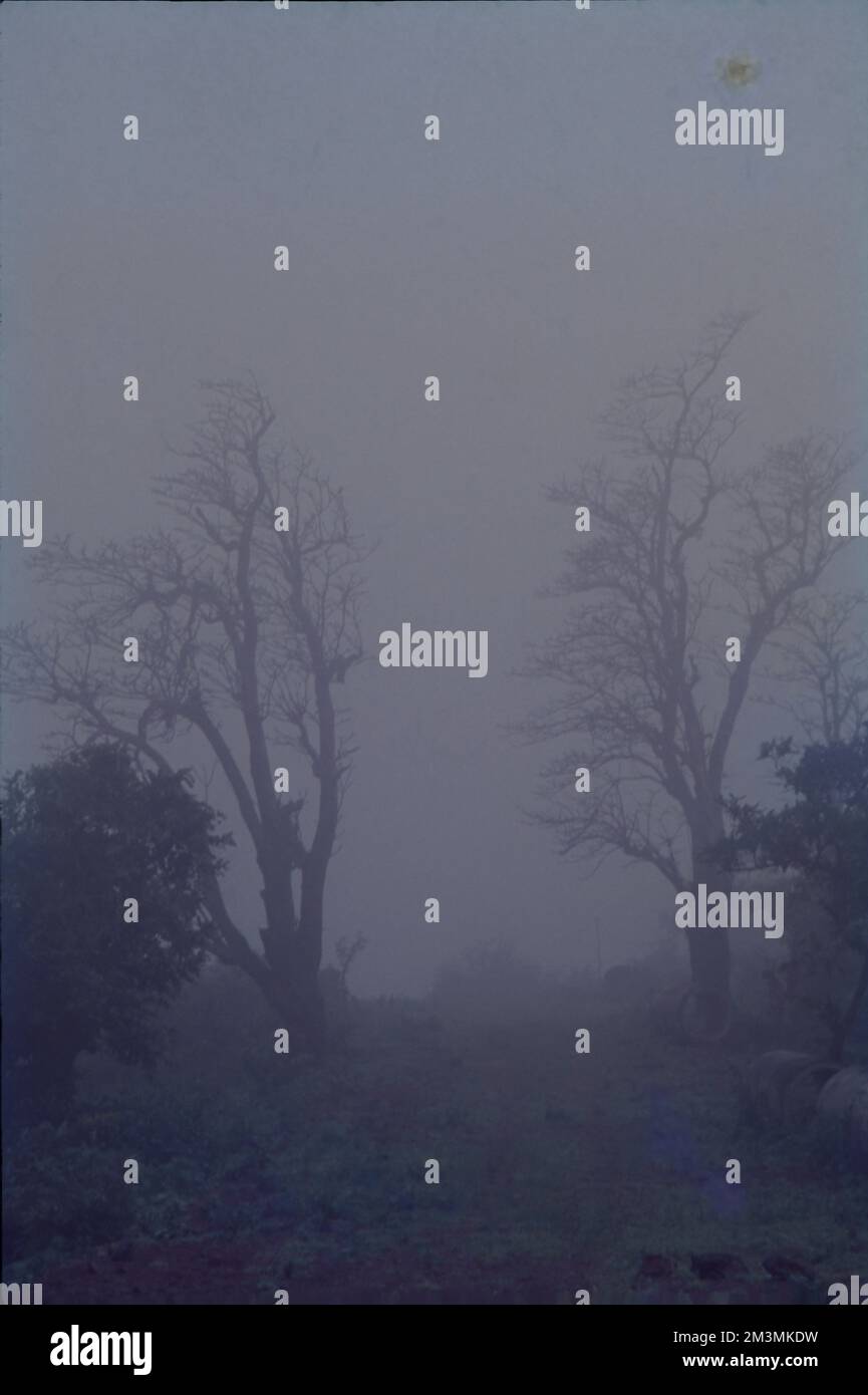 Mist is a phenomenon caused by small droplets of water suspended in the ...