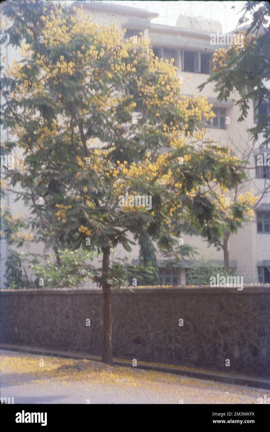 Autumn, also known as fall in American English and Canadian English, is ...