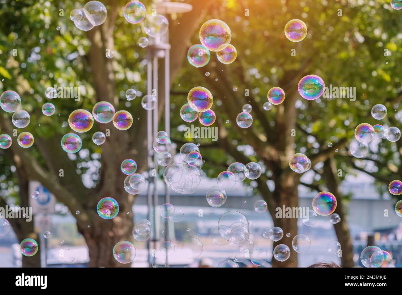 Many soap bubbles in city park. Children, happiness and fun concept ...