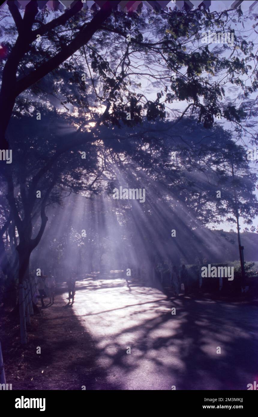 “the scattered light that filters through when sunlight shines through ...