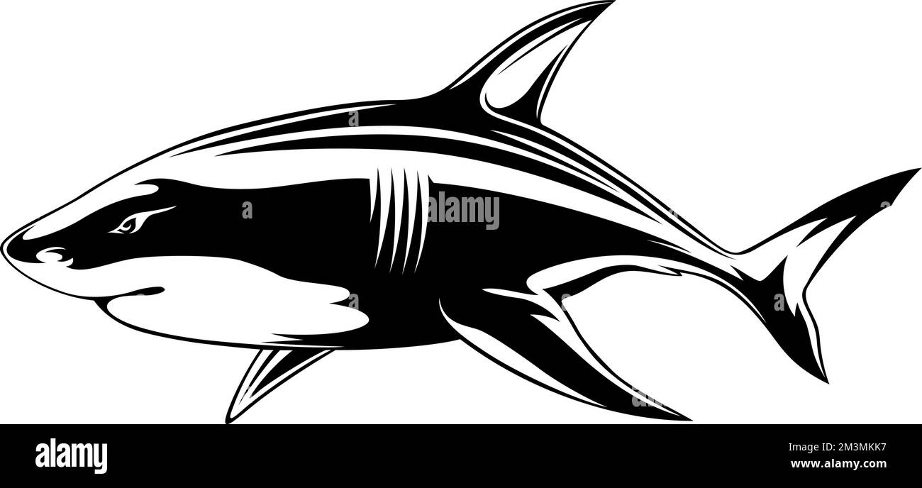 Illustration Of Great White Shark Stock Vector Image And Art Alamy