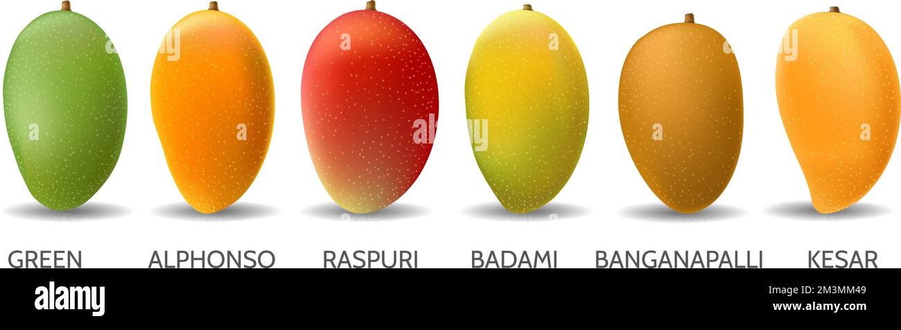 Indian mango varieties Cut Out Stock Images & Pictures - Alamy