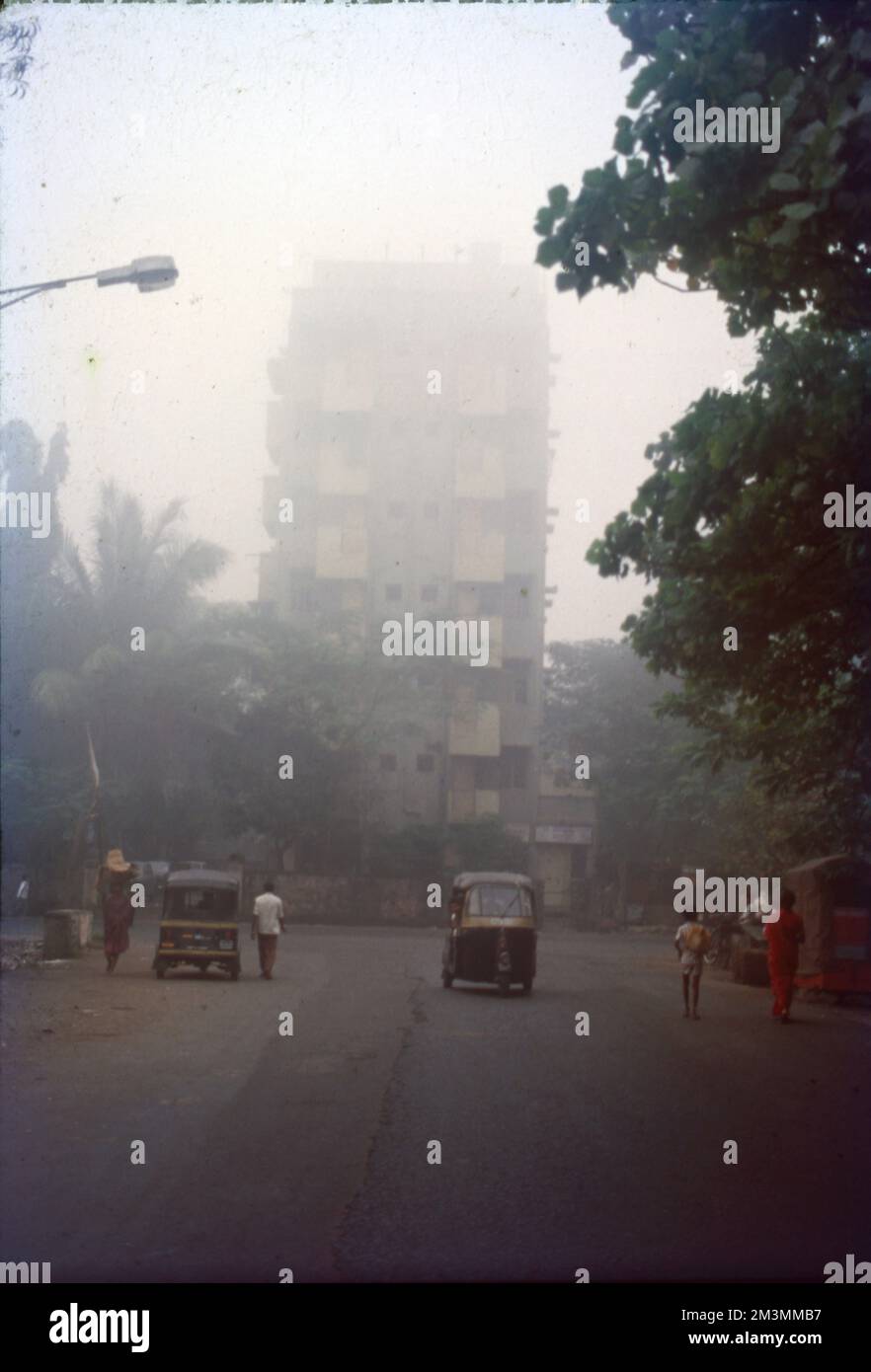 Mist is a phenomenon caused by small droplets of water suspended in the ...