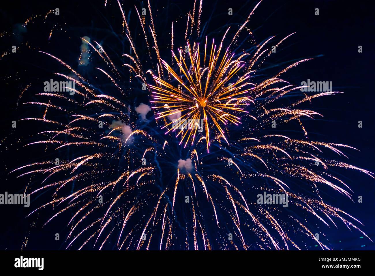 Bright, pink fireworks against the background of the night sky Stock ...