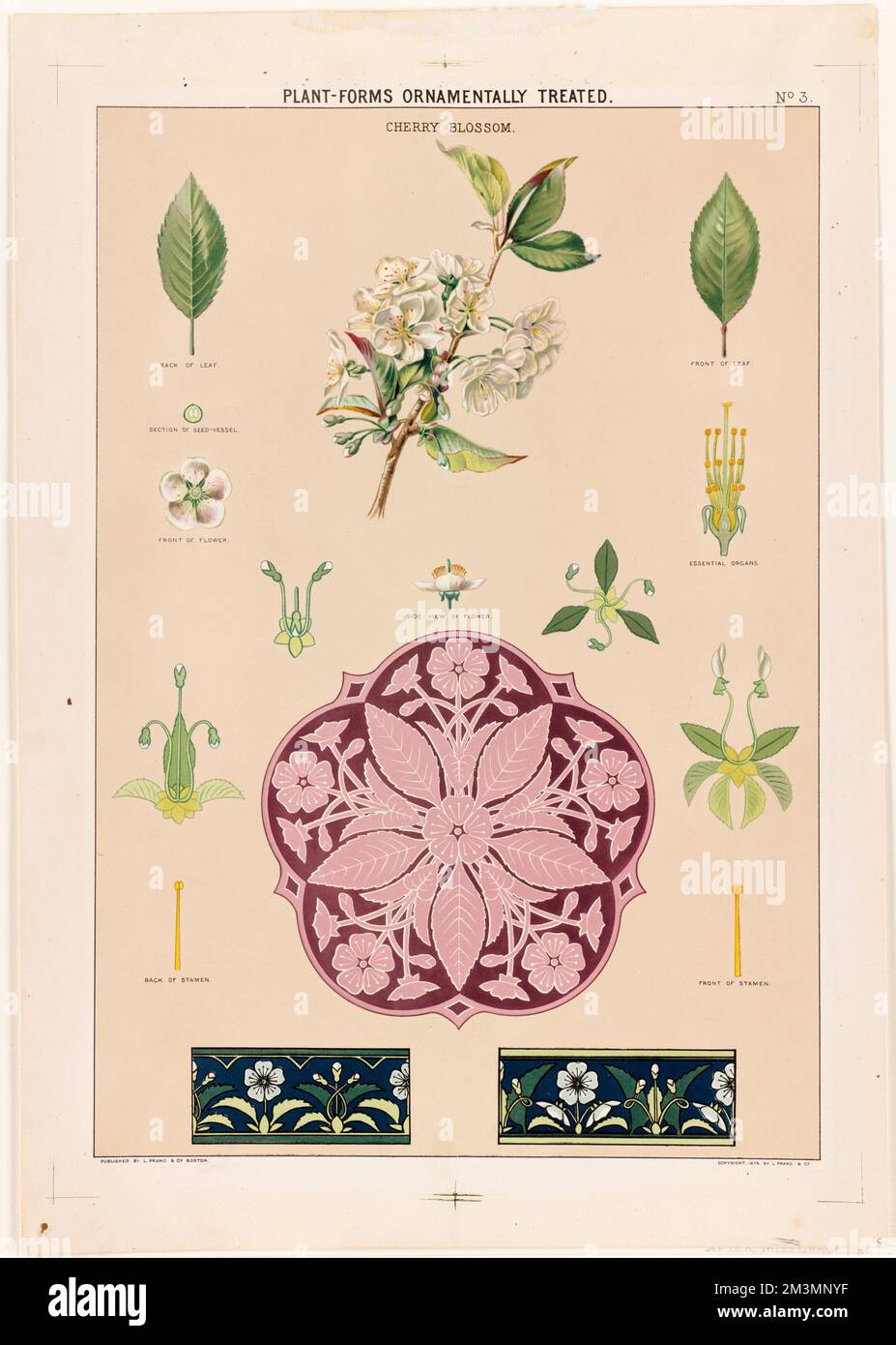 Plant-forms ornamentally treated - cherry blossom , Cherry blossoms ... Plant-forms ornamentally treated - cherry blossom , Cherry blossoms ...