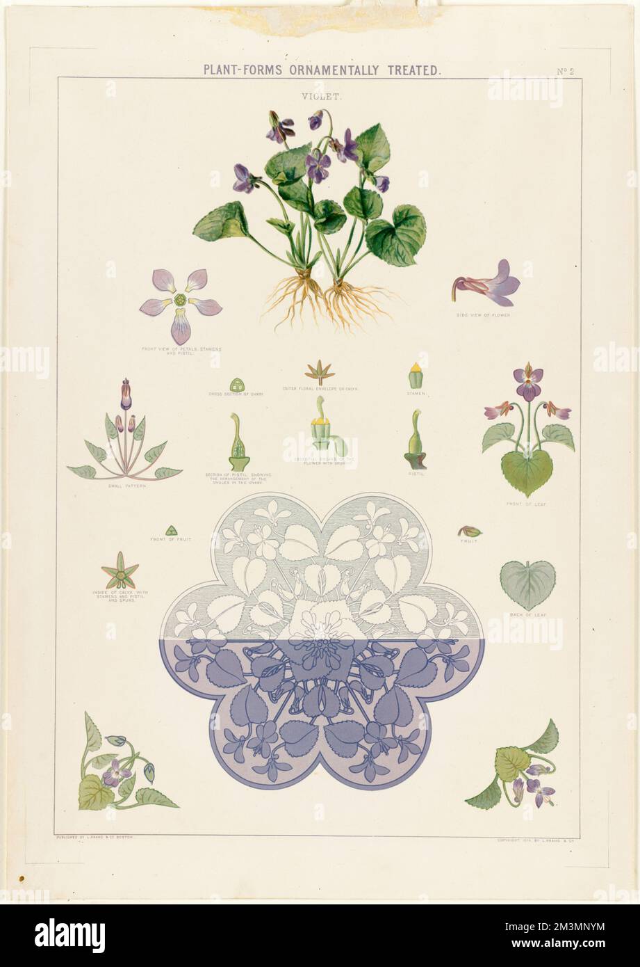 Plant-forms ornamentally treated - violet , Violets, Leaves ... Plant-forms ornamentally treated - violet , Violets, Leaves ...