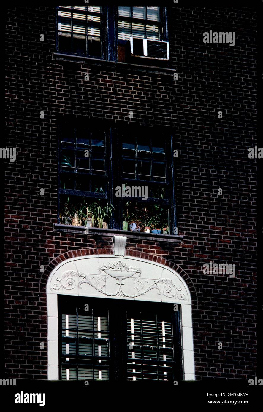 Plants in window, Manhattan, New York , Windows, Pediments. Edmund L ...