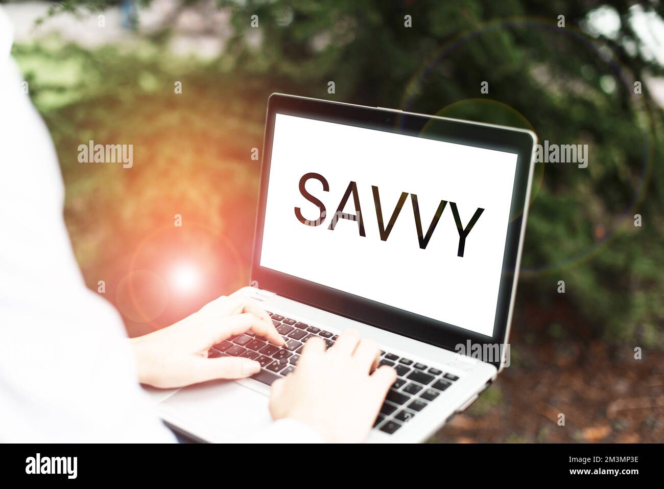 Handwriting text Savvy. Business overview having perception ...