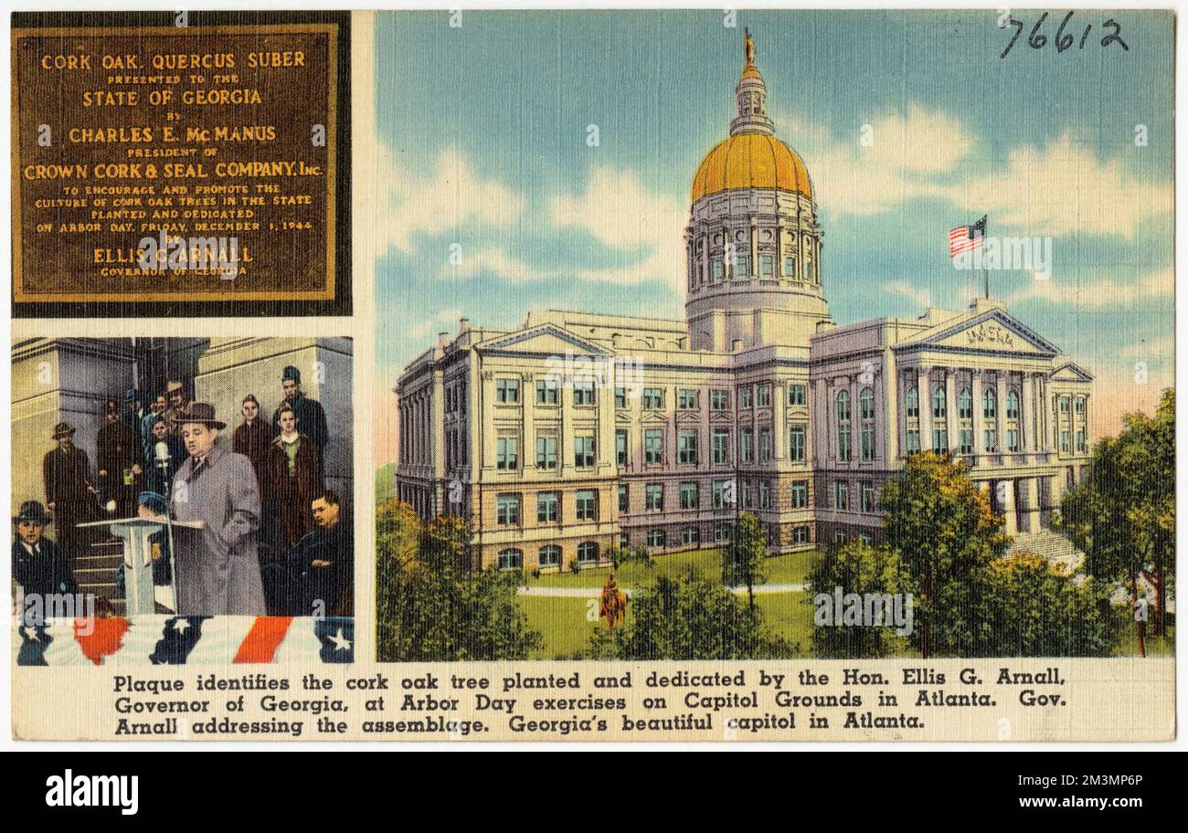 Plaque identifies the cork oak tree planted and dedicated by the Hon ...
