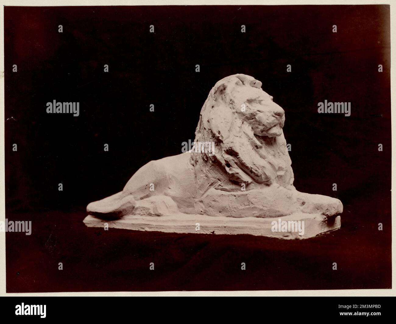 Plaster model of Louis Saint Gaudens lion statue, side view , Public ...