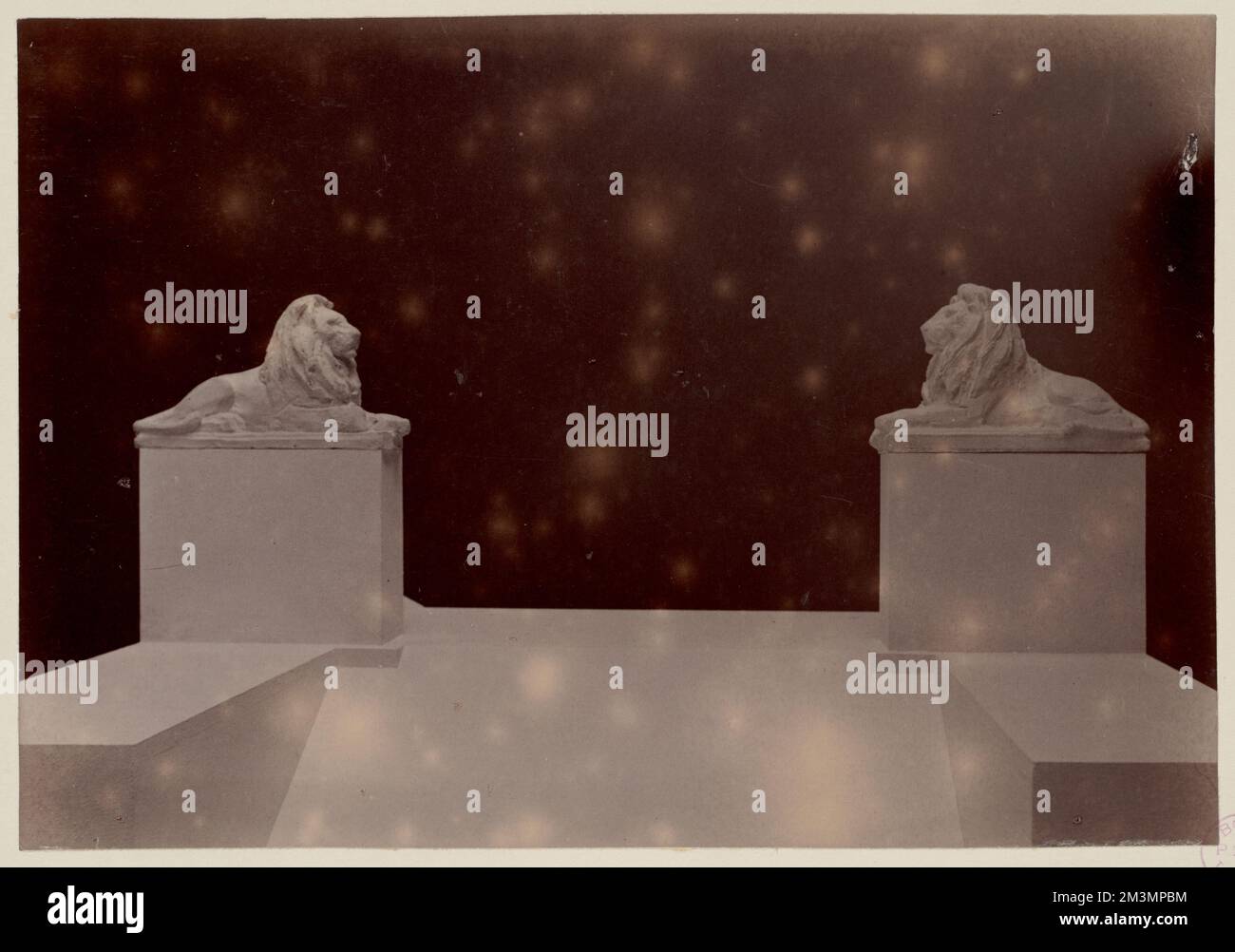 Plaster model of the lions by Louis Saint Gaudens , Public libraries ...