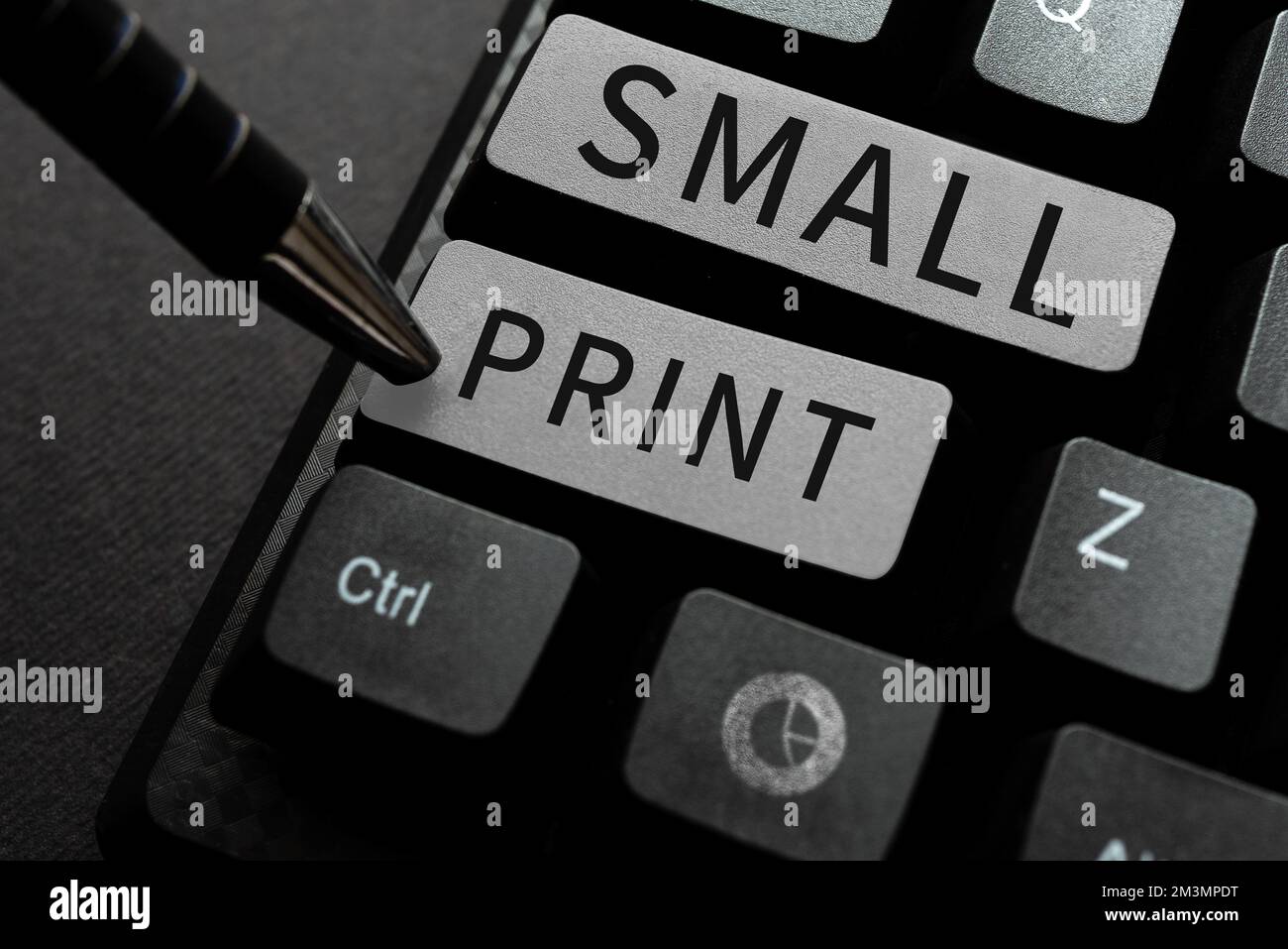 Text caption presenting Small Print. Business showcase document that ...