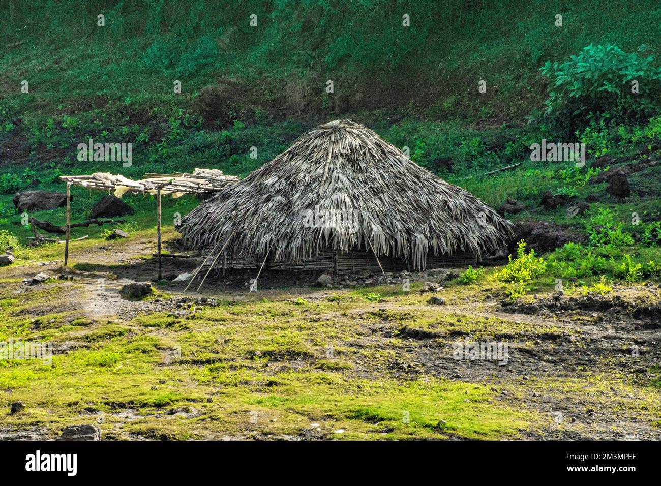 Thatched roof hut, Papi hills, Godavari river, Kolluru, Andhra Pradesh ...
