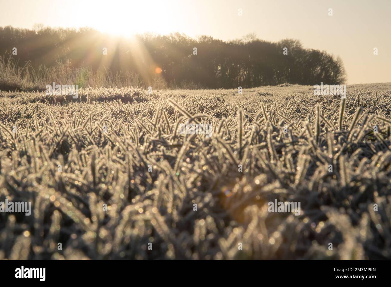 Seine maritimie hi-res stock photography and images - Alamy