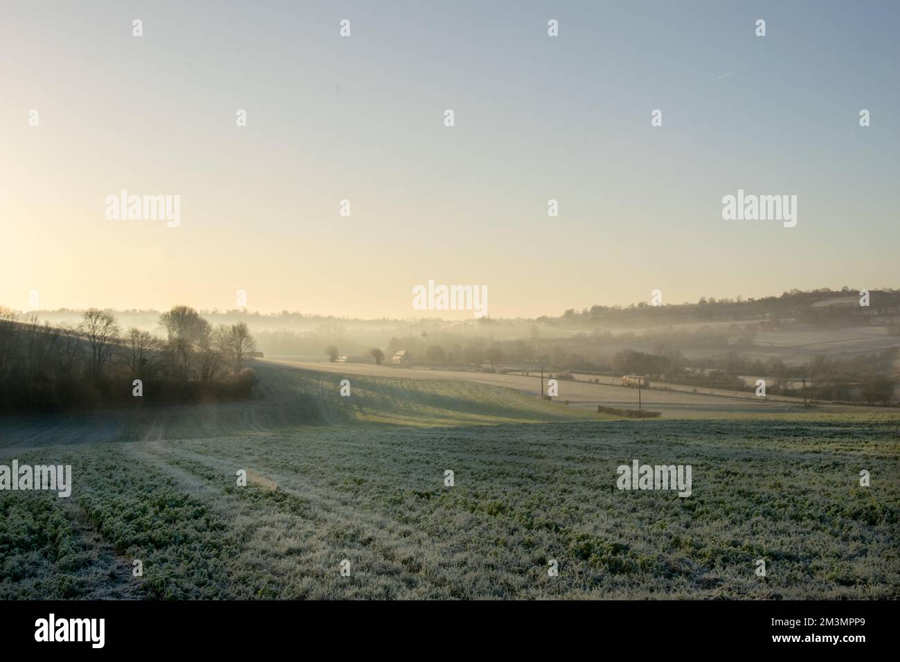 Winter morning frozen landscape in Normandy, France Stock Photo - Alamy
