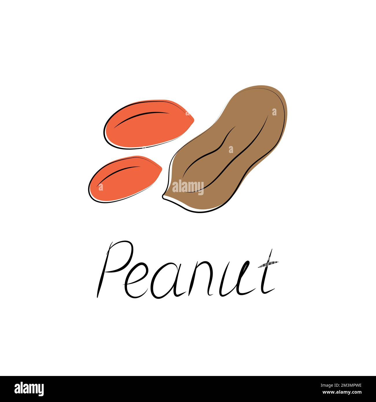 Peanuts in cartoon style. Nut icon for template label, packaging ...