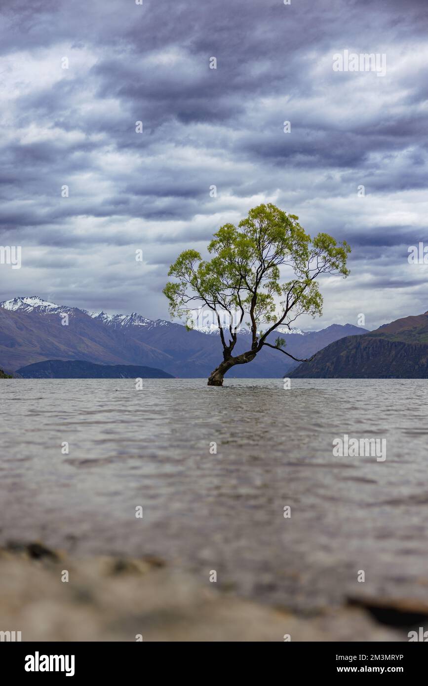 Place to visit in new zealand hi-res stock photography and images - Alamy