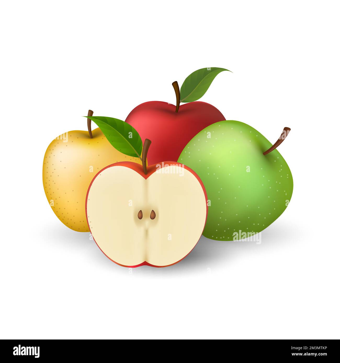 Apples shadow Stock Vector Images - Alamy