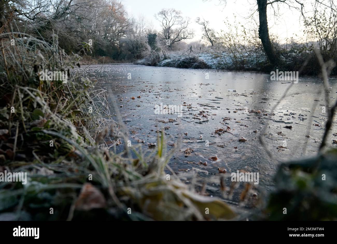 A layer of ice covers the Basingstoke Canal near Dogmersfield in ...