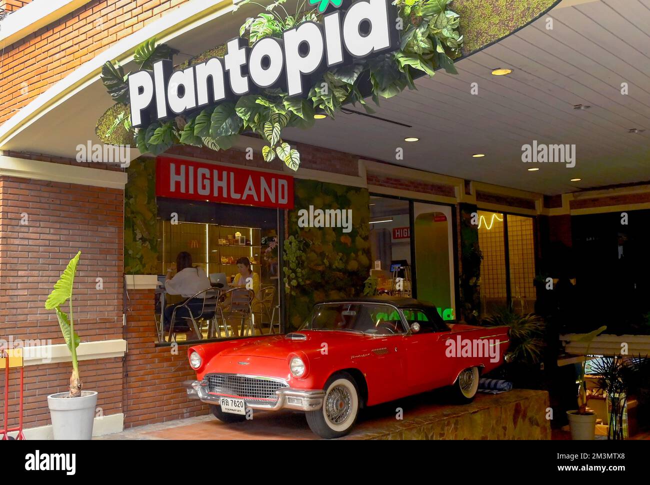 Plantopia hi-res stock photography and images - Alamy