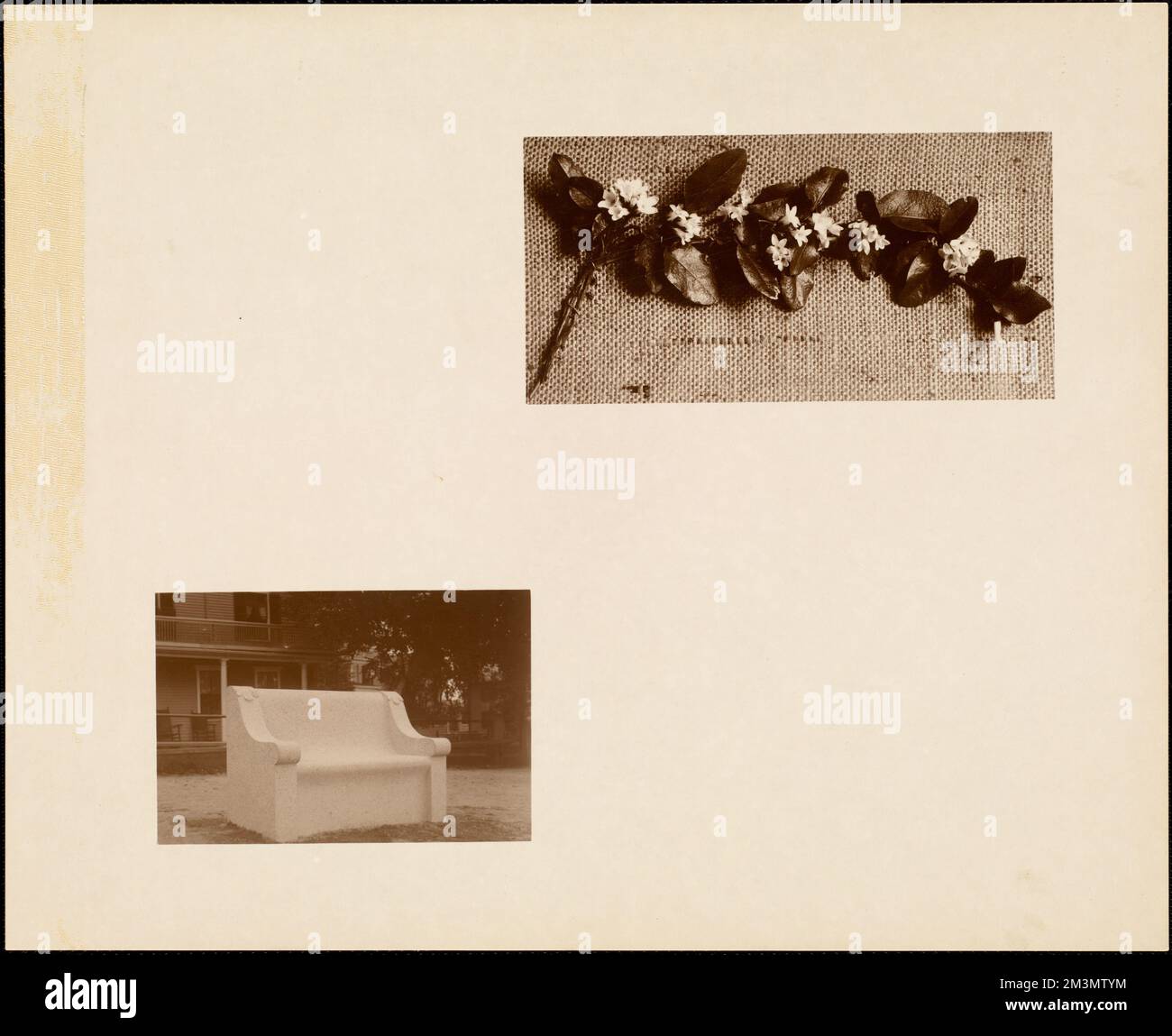 Plymouth Tercentenary celebration, two images: memorial seat on Cole's ...