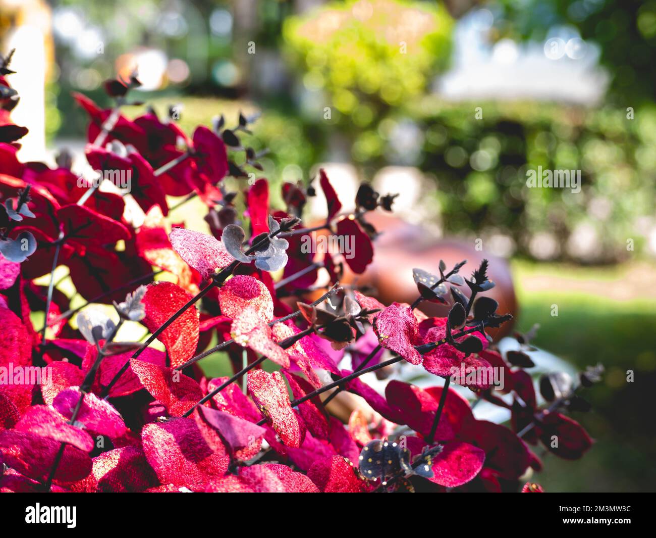 Red and black bouquet and nature Stock Photo - Alamy