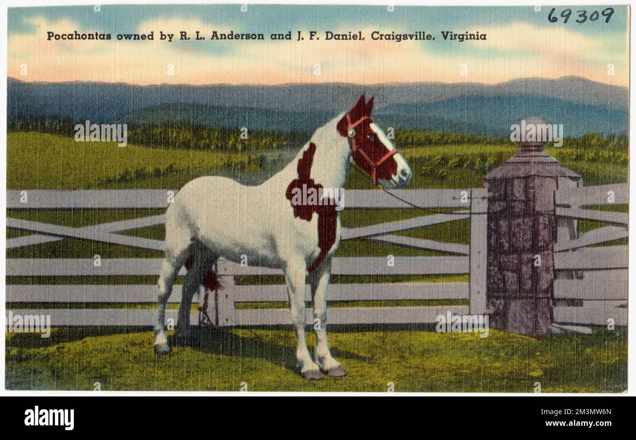 Pocahontas owned by R. L. Anderson and J. F. Daniel, Craigsville ...