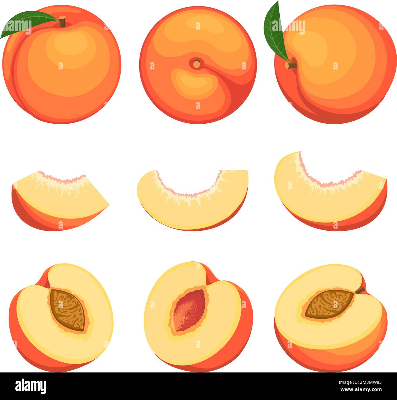Peaches pieces illustration Stock Vector Image & Art - Alamy