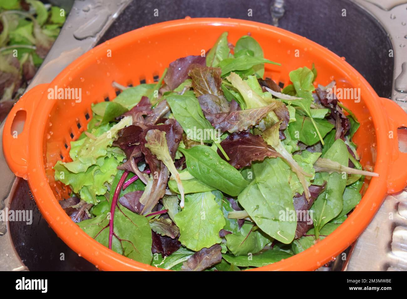 Drying washed salad leaves hi-res stock photography and images - Alamy