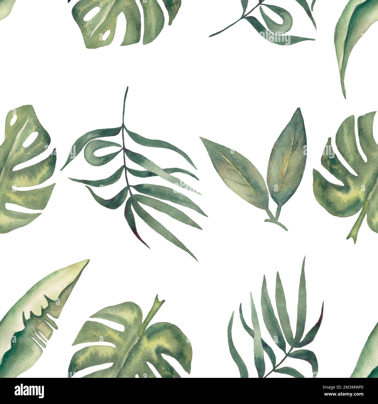 Watercolor seamless tropical leaves pattern. Foliage digital paper ...
