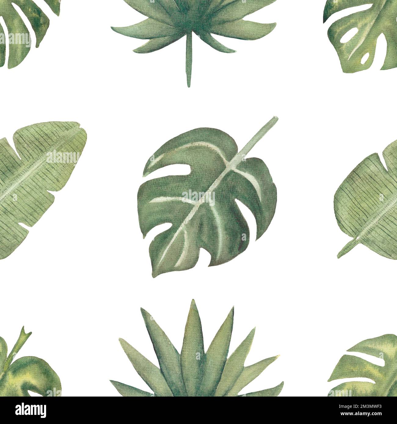 Watercolor seamless tropical leaves pattern. Foliage digital paper ...