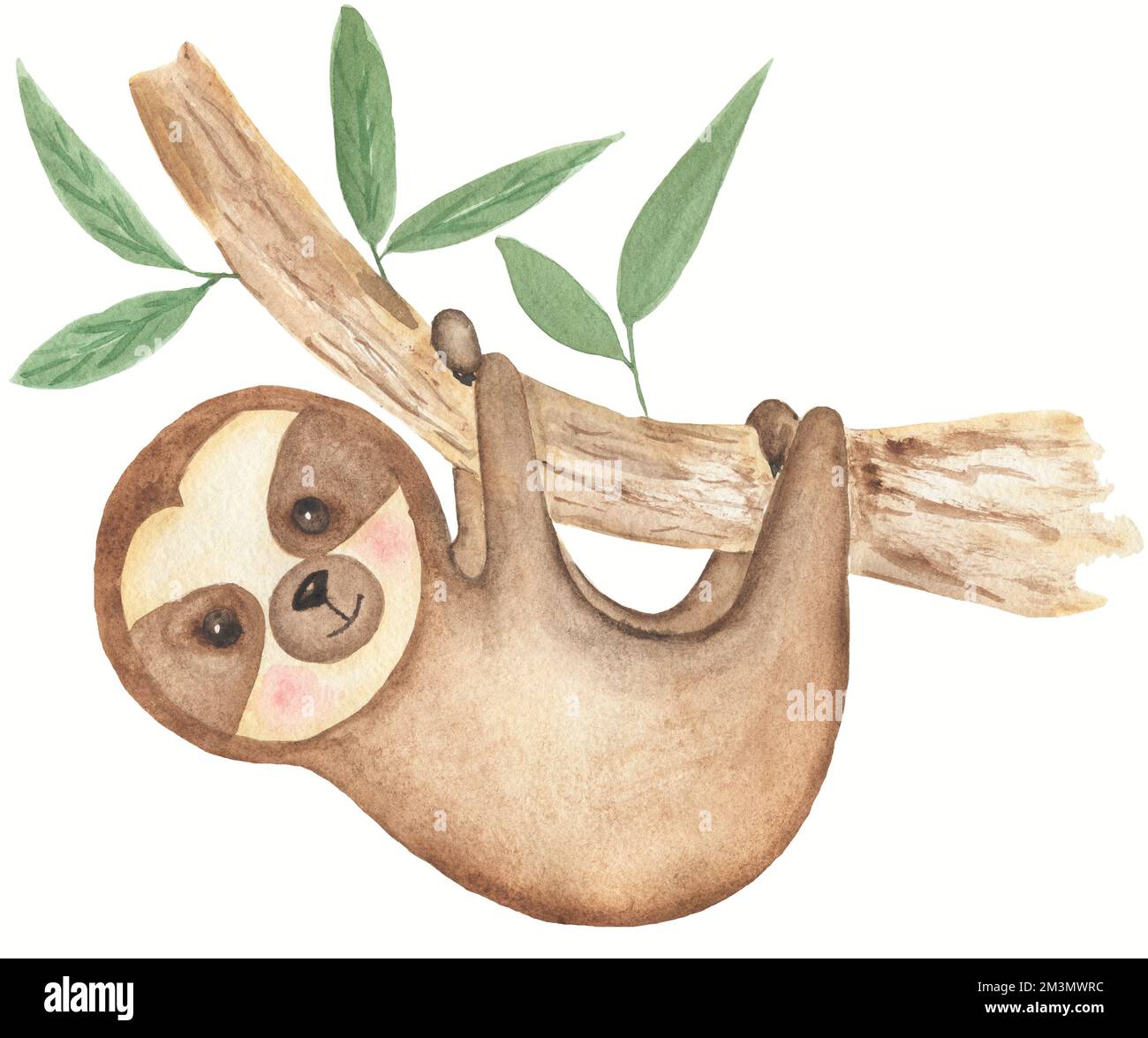 Cute baby animal sloth Cut Out Stock Images & Pictures - Alamy