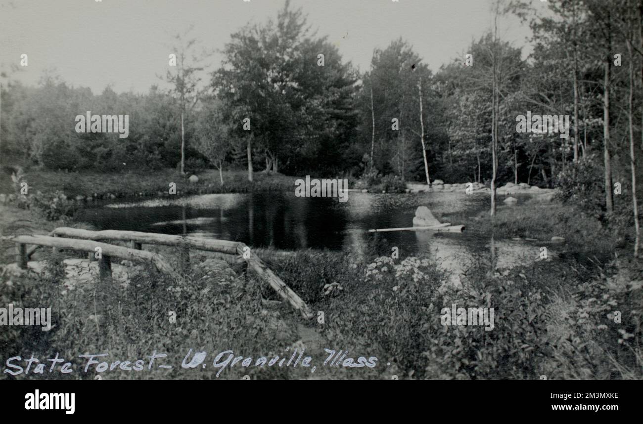 Pond in state forest, West Granville, MA , Lakes & ponds, Pedestrian ...