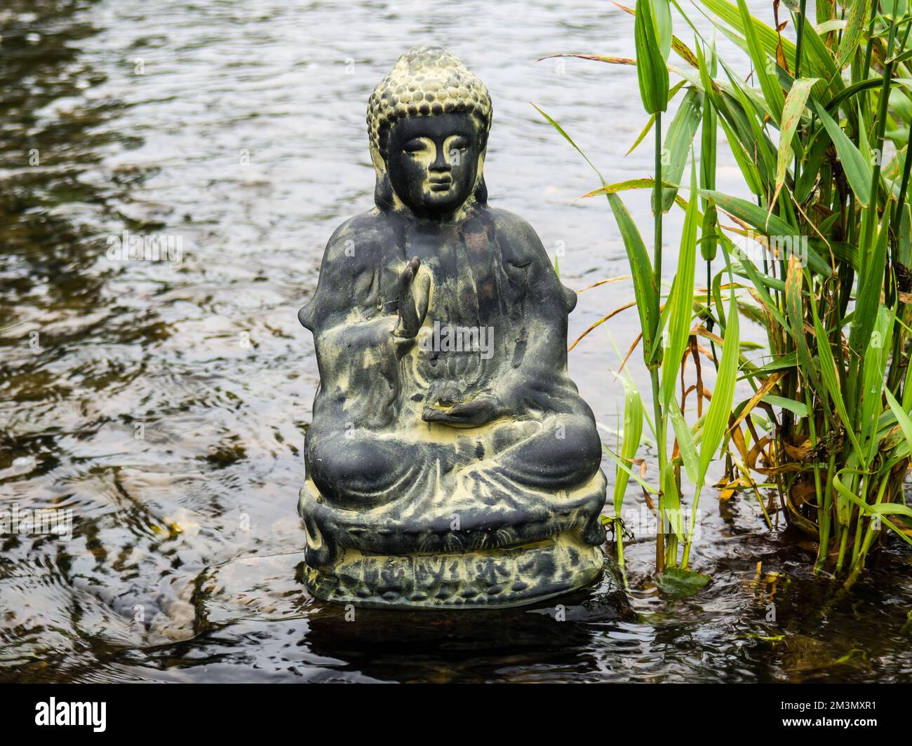 Buddha figure in a river Stock Photo - Alamy