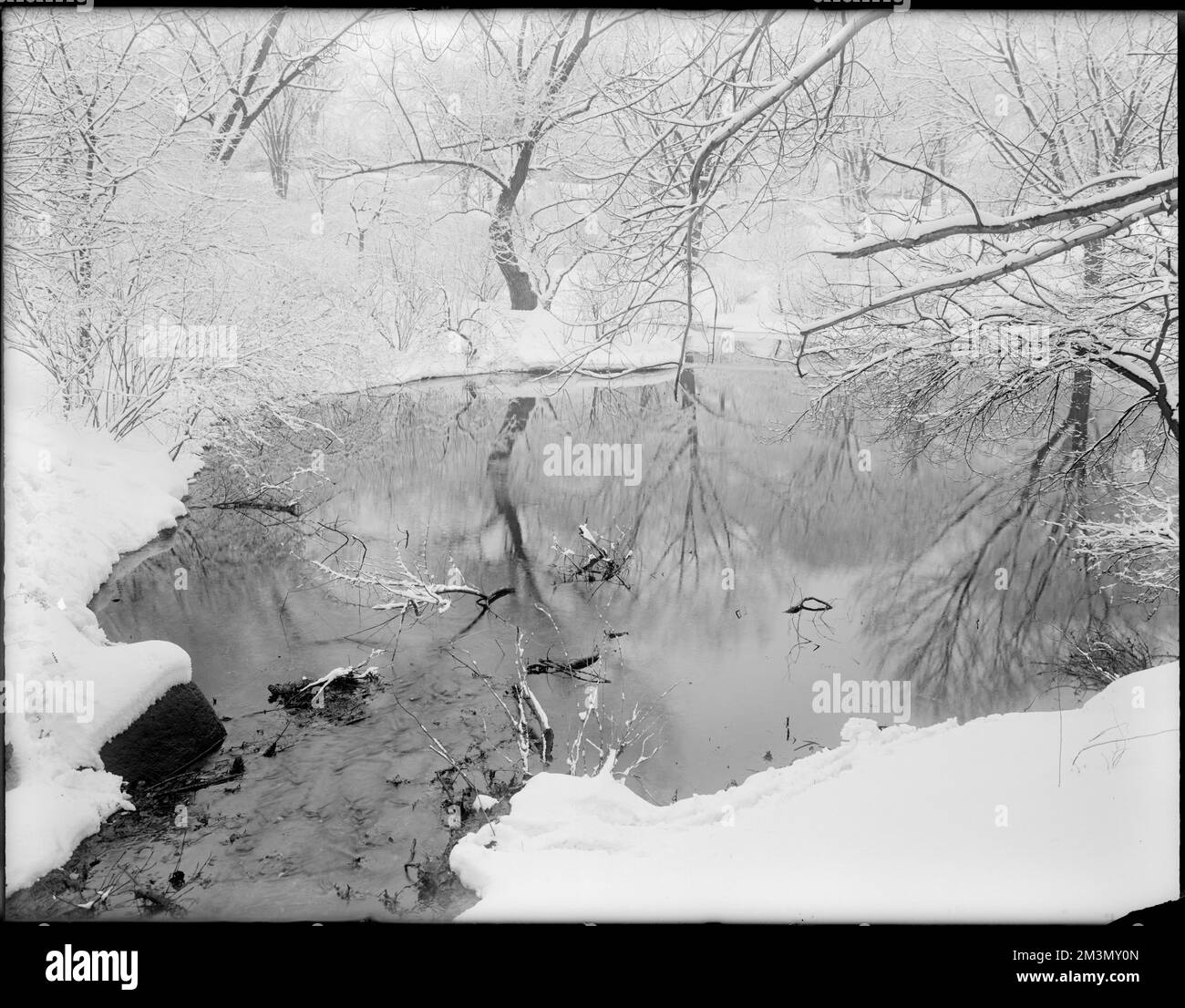 Pool from Willow Spring and Ward's Pond , Winter, Snow, Pools. Leon ...