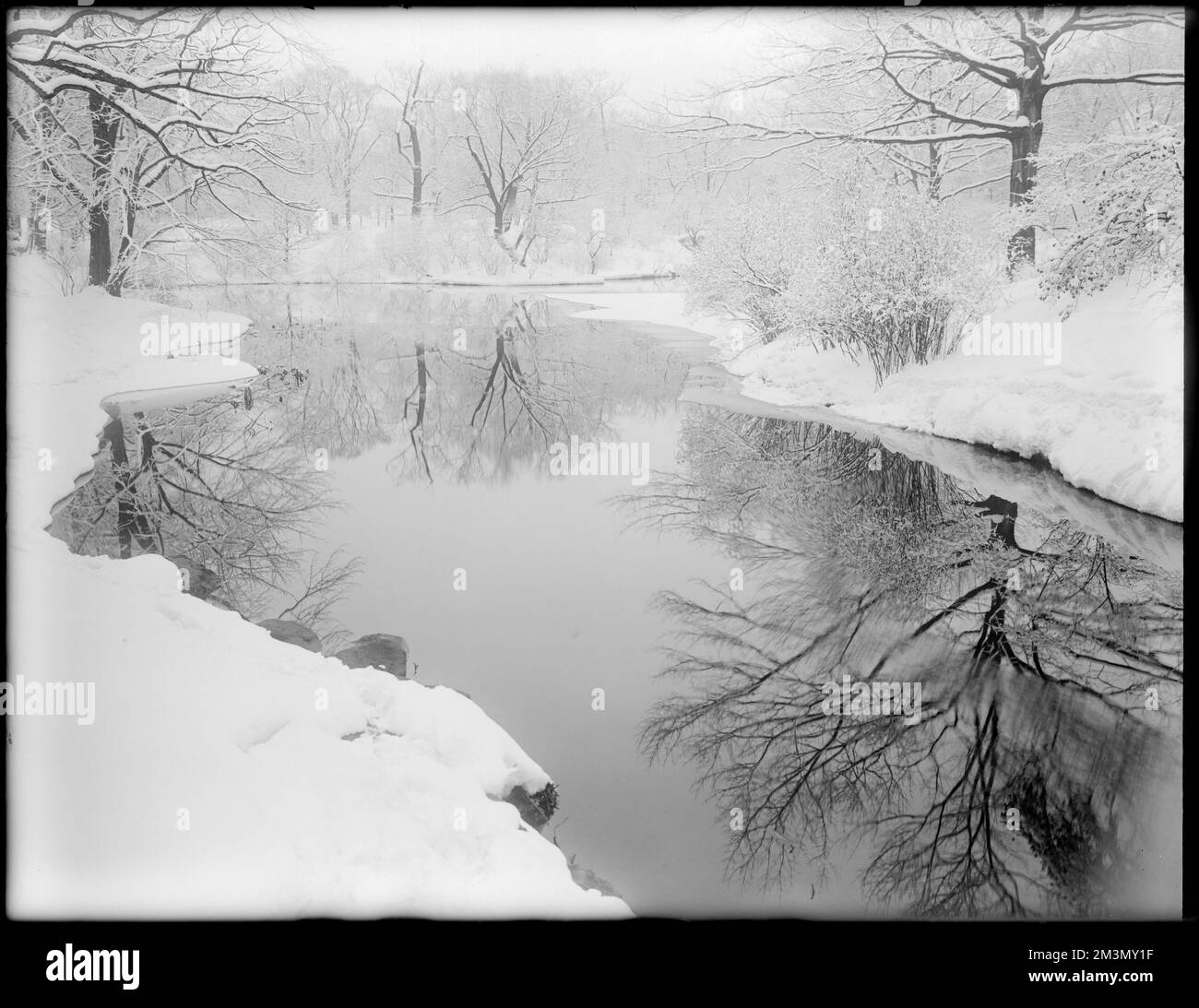 Pool from Willow Spring and Ward's Pond , Winter, Snow, Pools. Leon ...