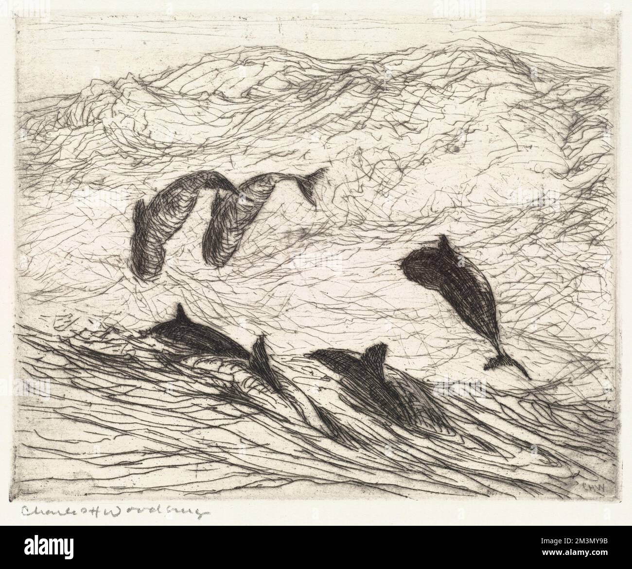 Porpoises in the Caribbean , Dolphins, Seas. Charles H. Woodbury (1864 ...